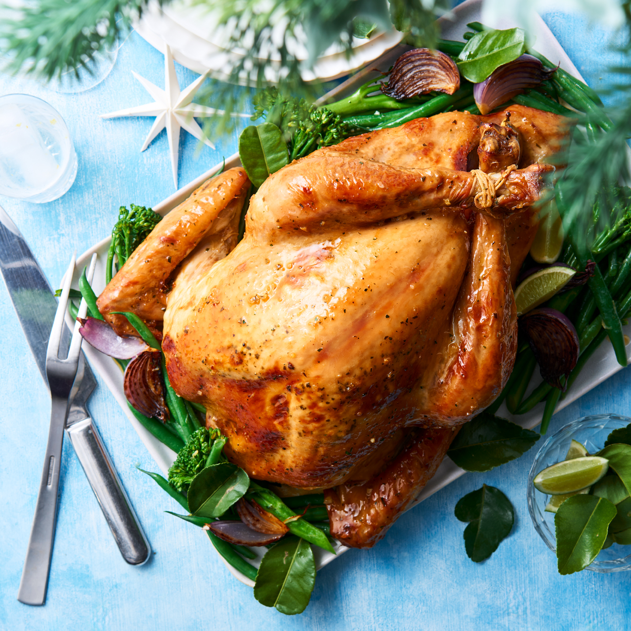 Turkey dishes recipes | Woolworths